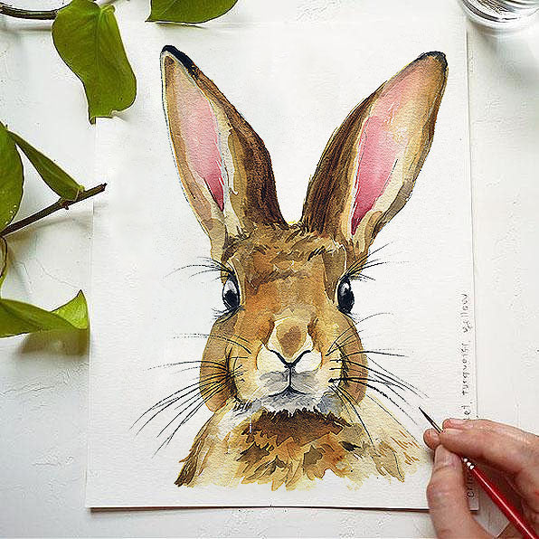 Beginner Animal Watercolor Paintings– Let's Make Art